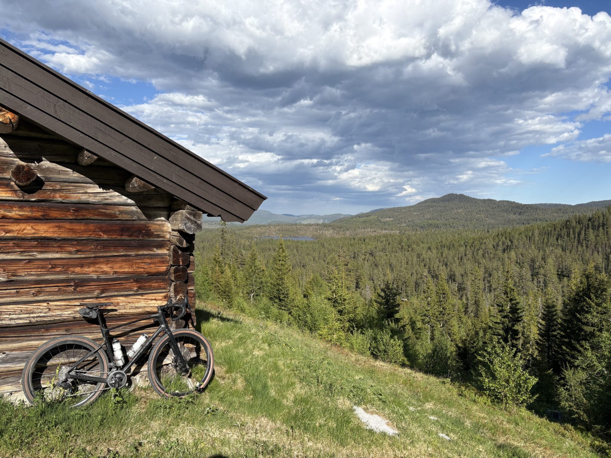 Neovim with native LSP – network automation blog